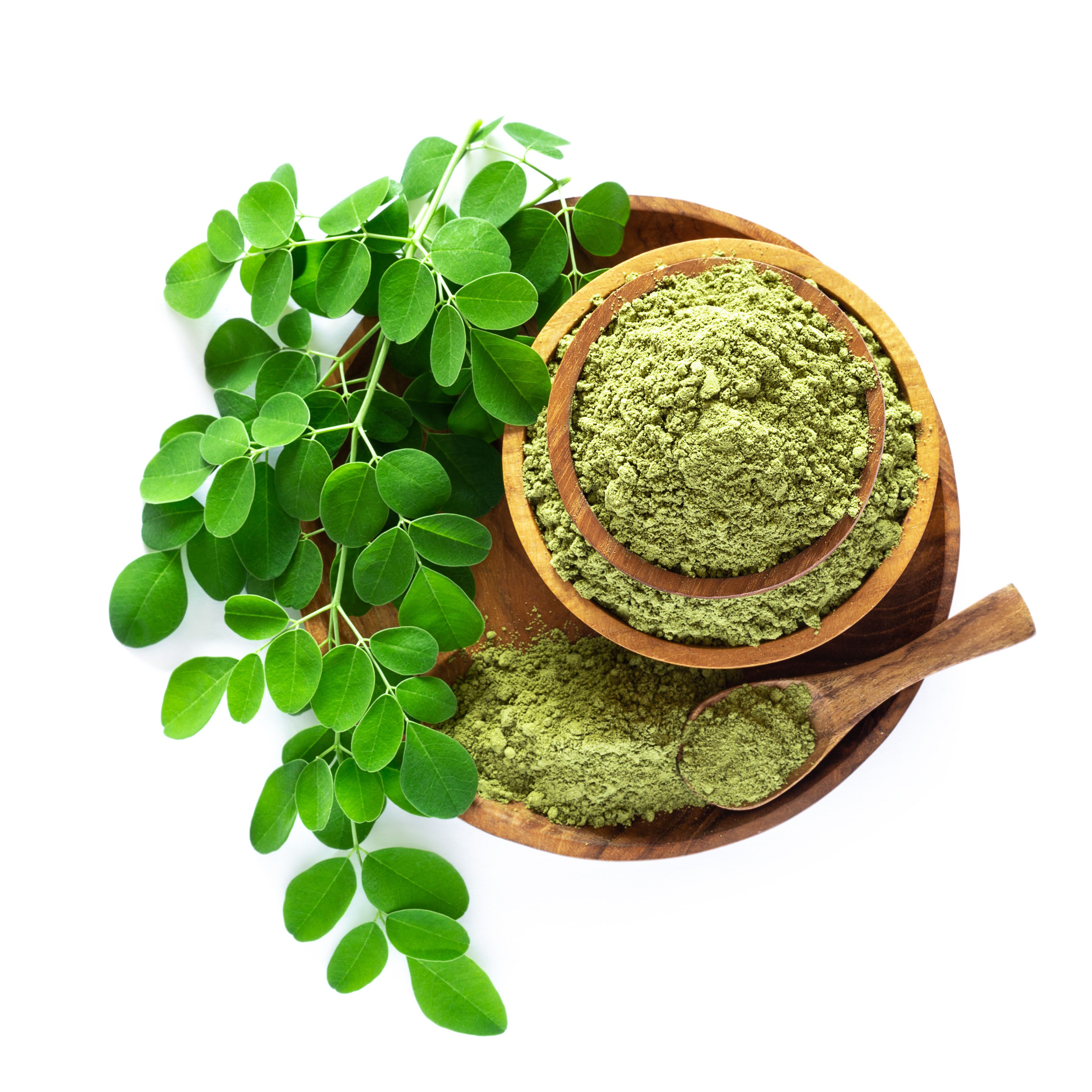 Premium Moringa Leaf Supplier Australia - High-Quality Organic Moringa ...